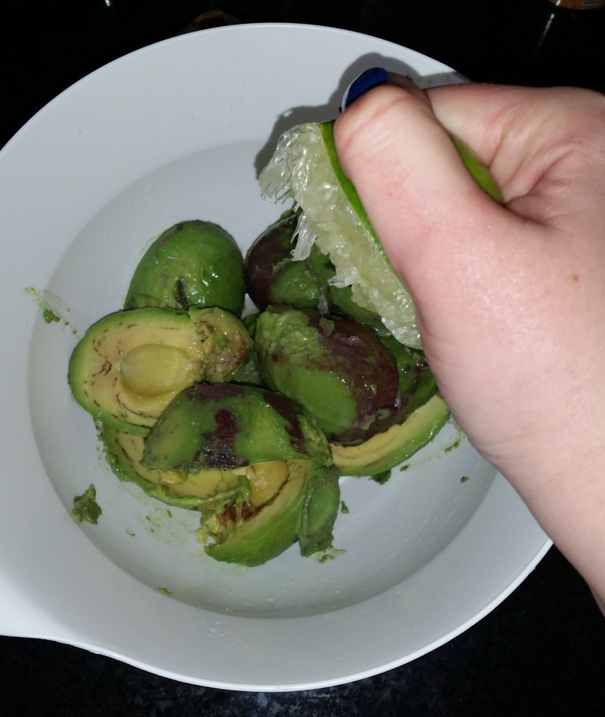 Guacamole – not vampire friendly – Adventures of a Cat Lady