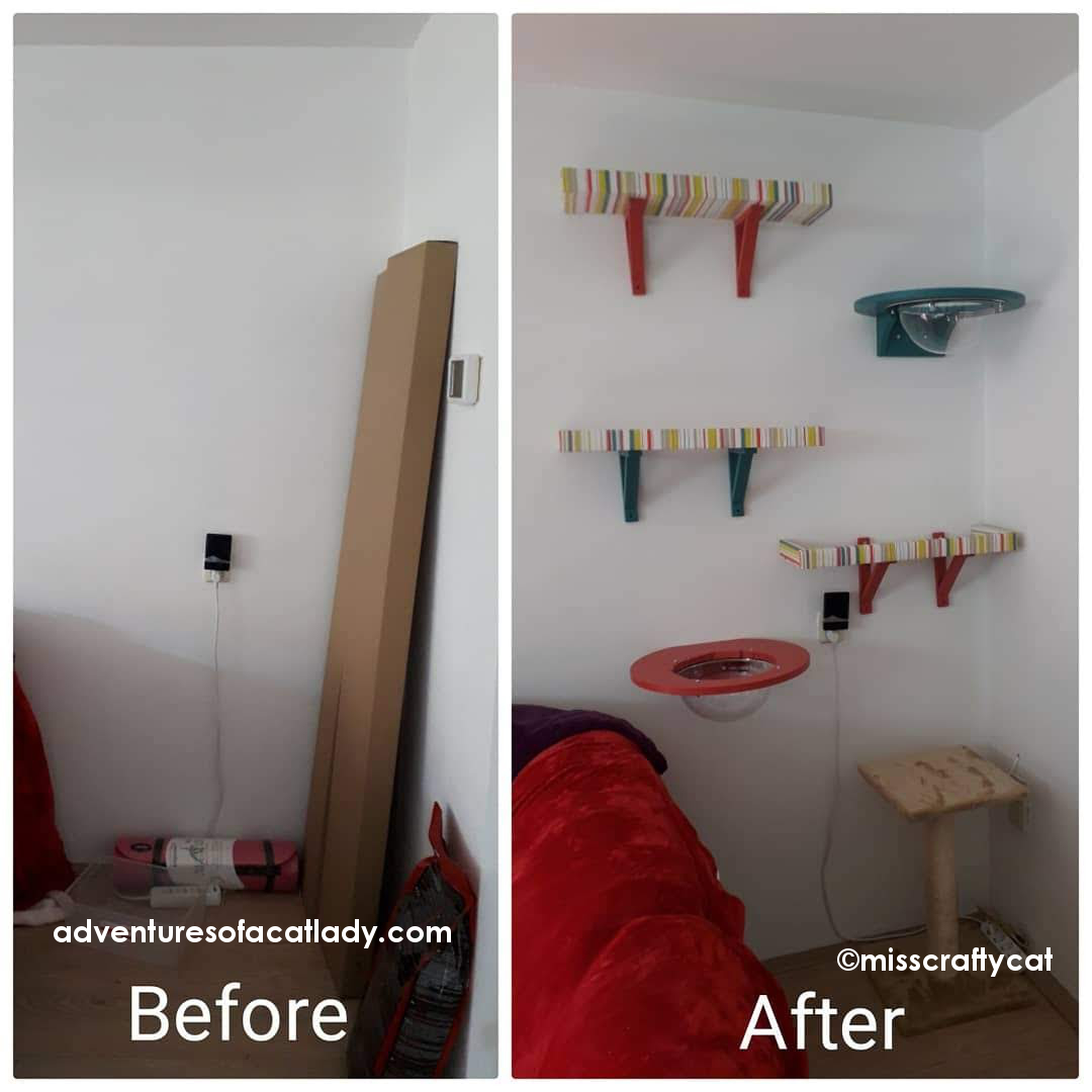 Cat Wall – DIY project – Adventures of a Cat Lady