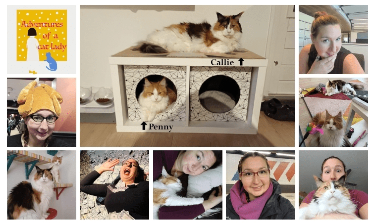 Adventures of a Cat Lady