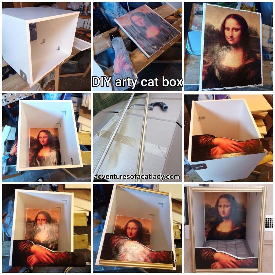 Arty cat boxes – Adventures of a Cat Lady